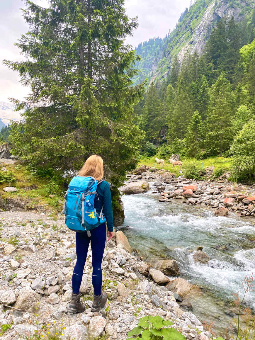 Sulzen-Alm: urige Alm im Floitengrund | Tourtricks.de